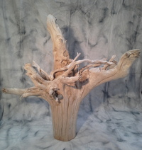 Souche de bois flotté - Achat / Vente de souches bois flotté